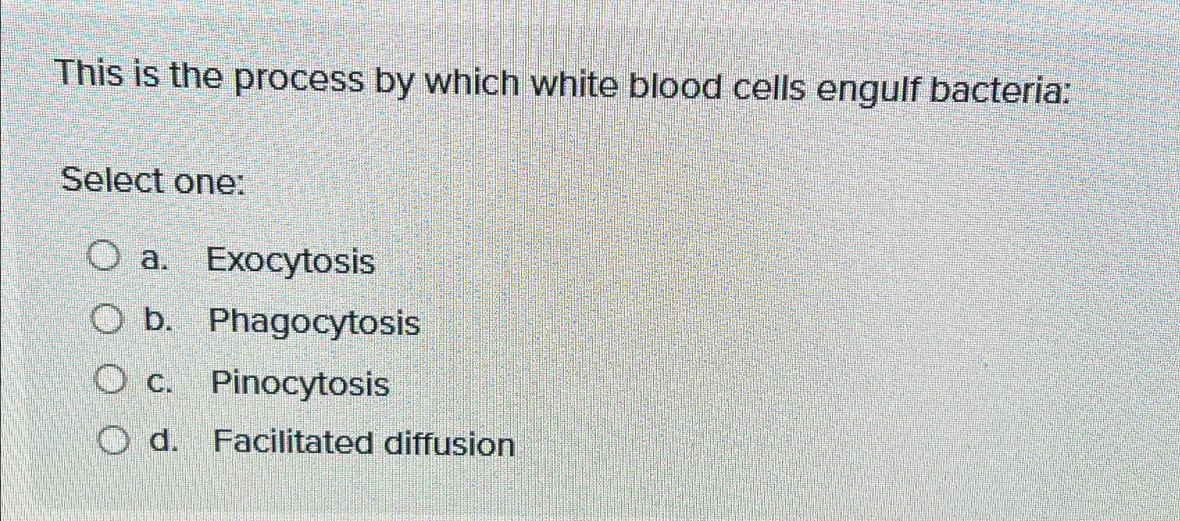 Solved This is the process by which white blood cells engulf | Chegg.com
