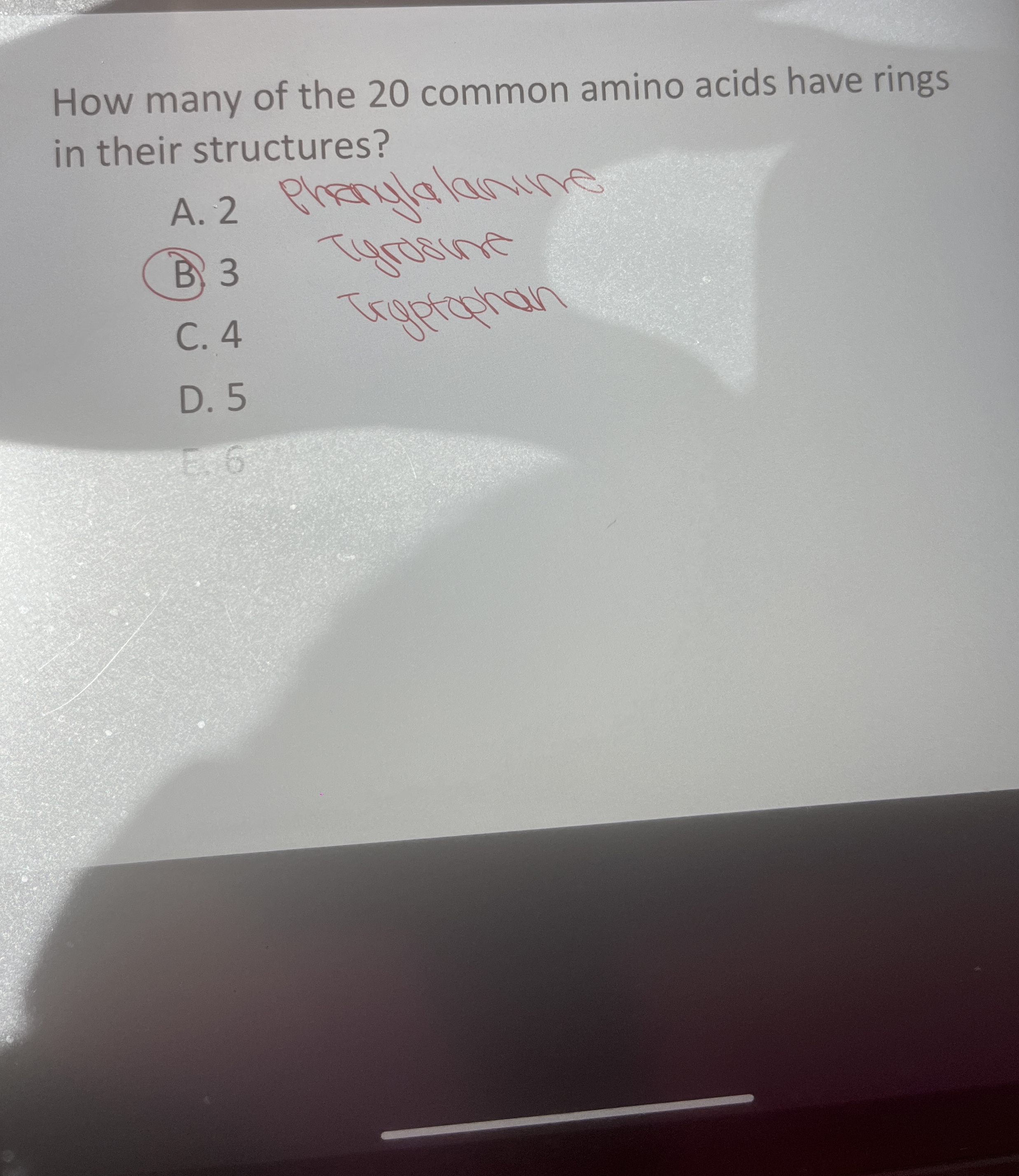 Solved How many of the 20 ﻿common amino acids have rings in | Chegg.com