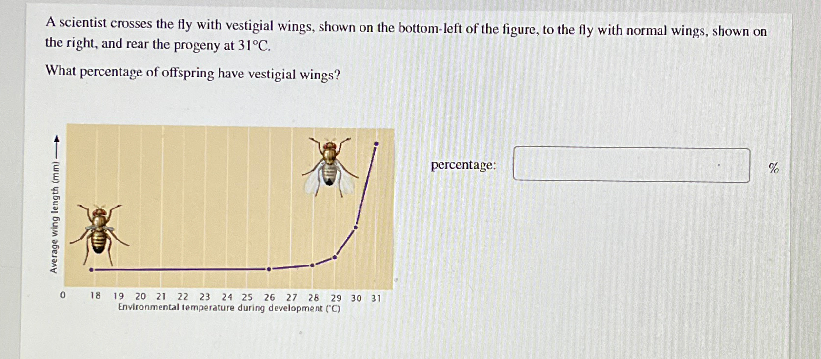 Solved A scientist crosses the fly with vestigial wings, | Chegg.com