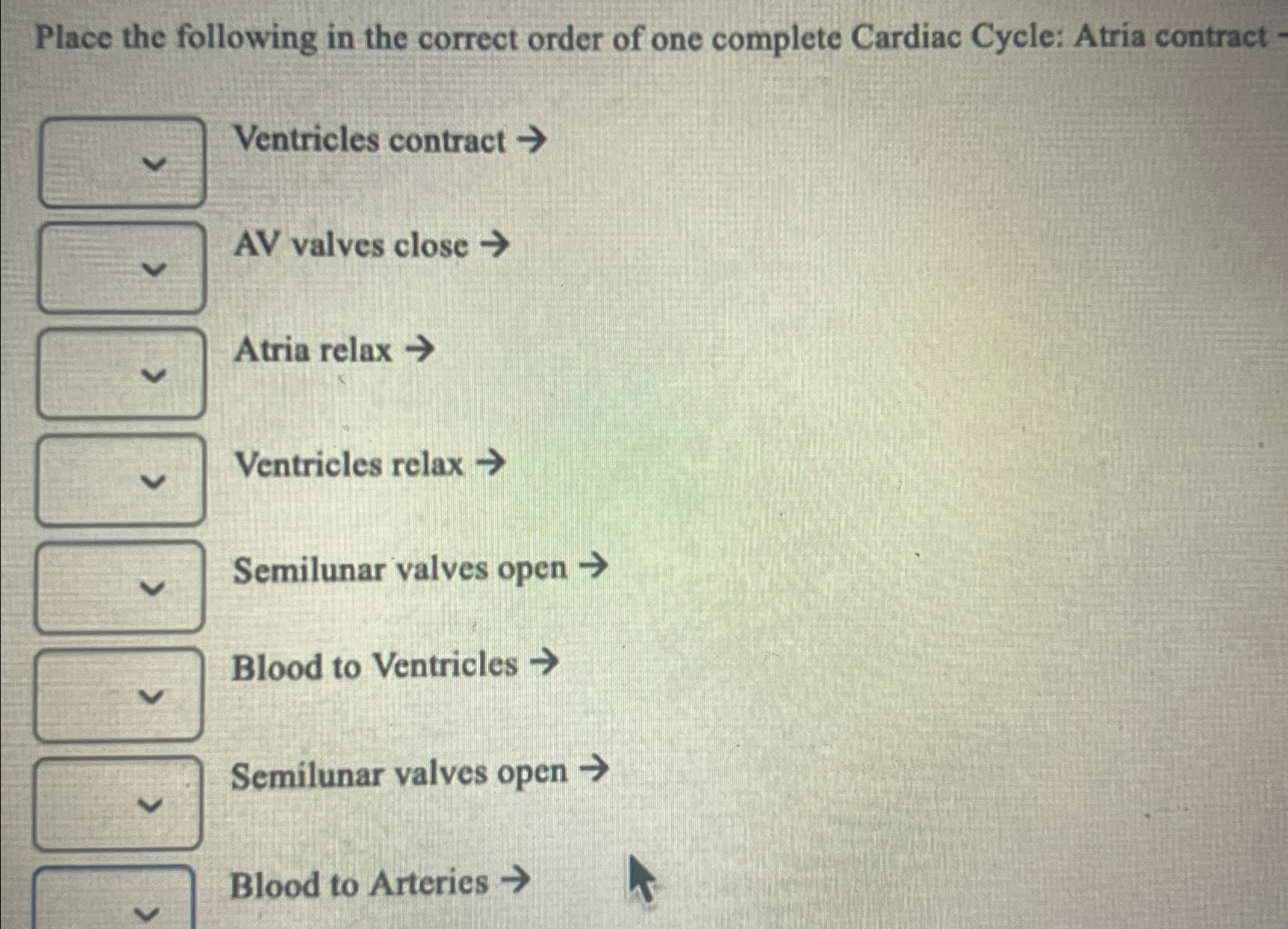 Solved Place the following in the correct order of one | Chegg.com