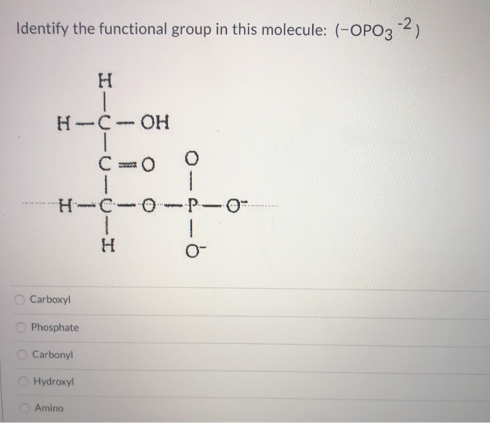 Solved Identify the functional group in this molecule: | Chegg.com