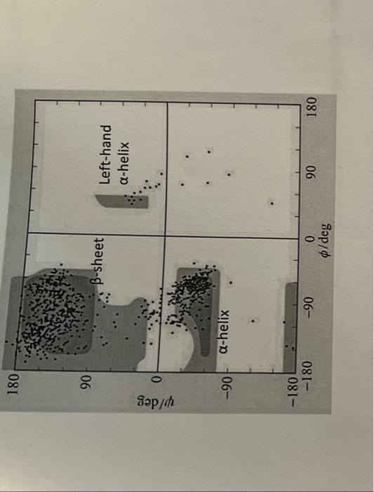 Solved Shown below is a tripeptide. Circle 6 atoms that | Chegg.com