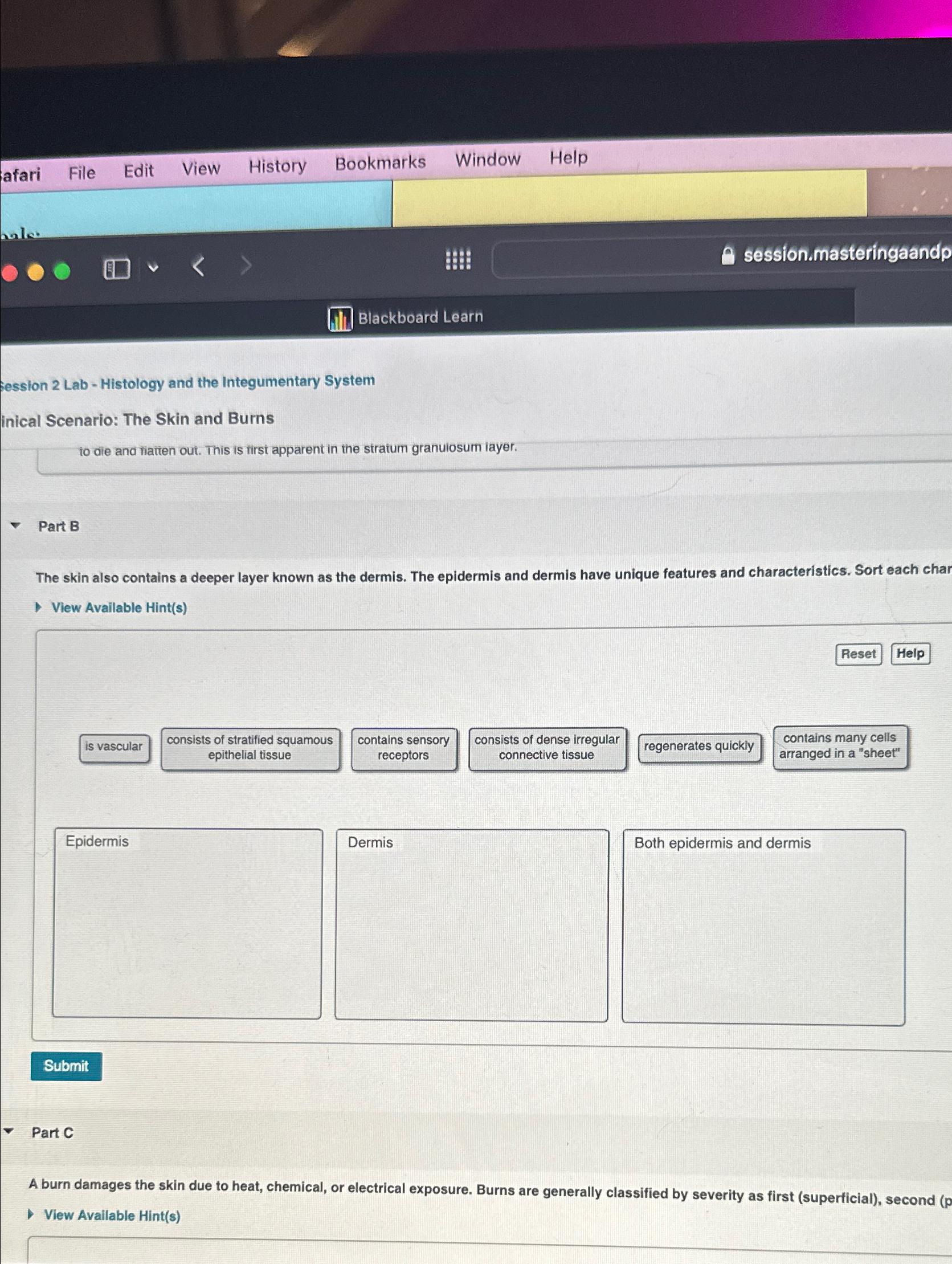 Solved Session 2 ﻿Lab - ﻿Histology and the Integumentary | Chegg.com