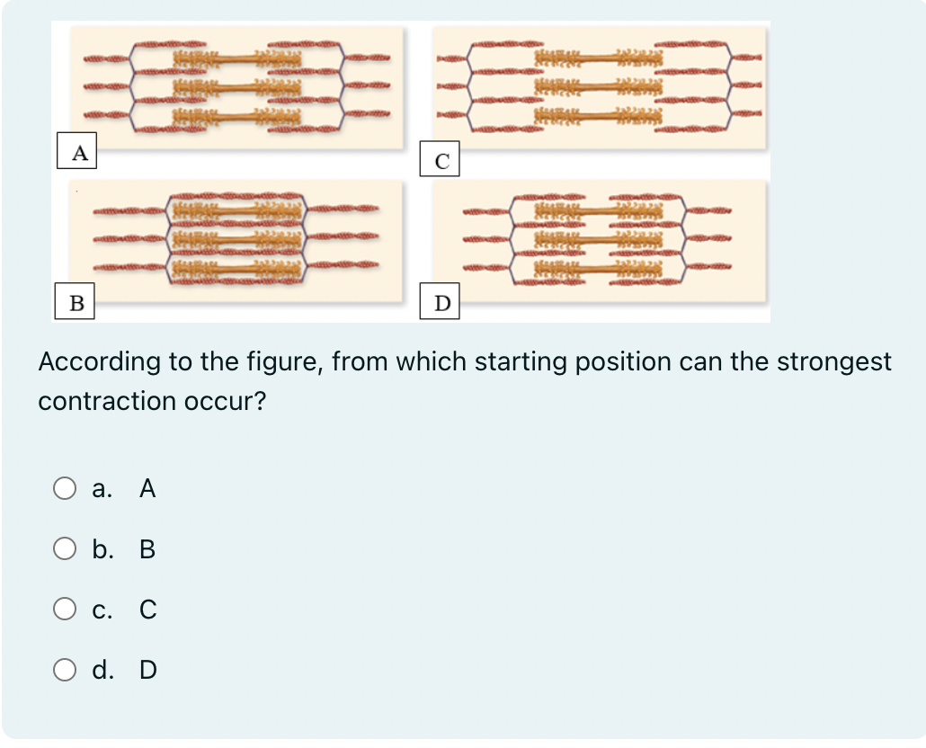 Solved According to the figure, from which starting position | Chegg.com