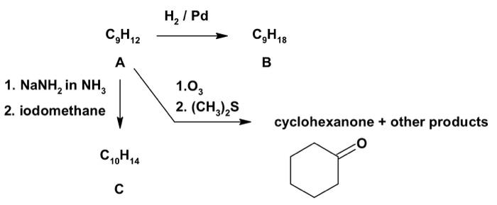 Solved please explain the steps thoroughly as I really dont | Chegg.com