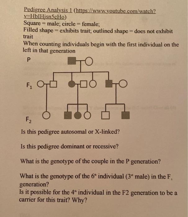 Solved Pedigree Analysis 1 (https://www.youtube.com/watch? | Chegg.com