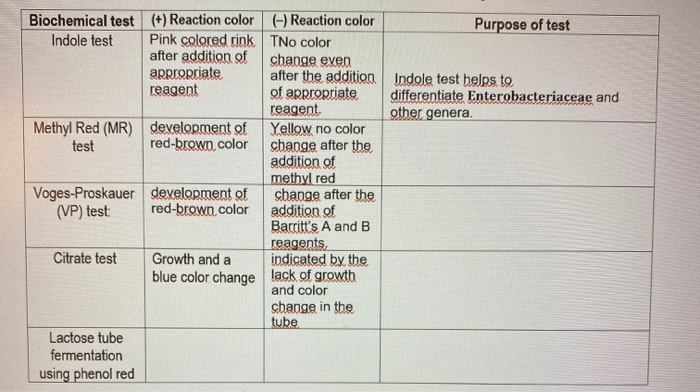 Solved Biochemical test Indole test Purpose of test (+) | Chegg.com