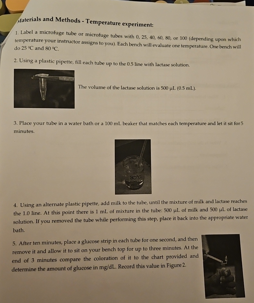 Solved Materials and Methods - ﻿Temperature experiment:Label | Chegg.com
