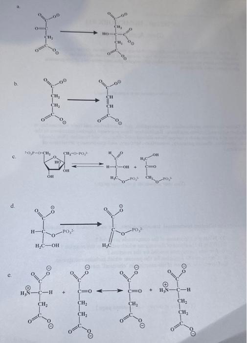 Consider the following biochemical transformations. | Chegg.com Consider the following biochemical transformations. | Chegg.com