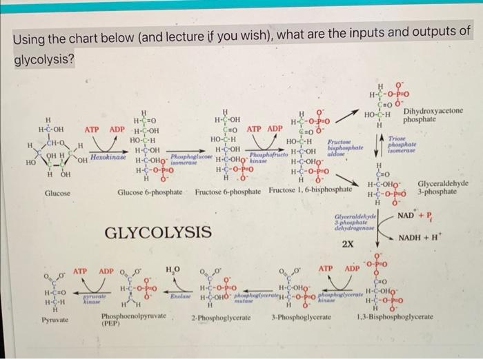 Solved Using the chart below (and lecture if you wish), what | Chegg.com