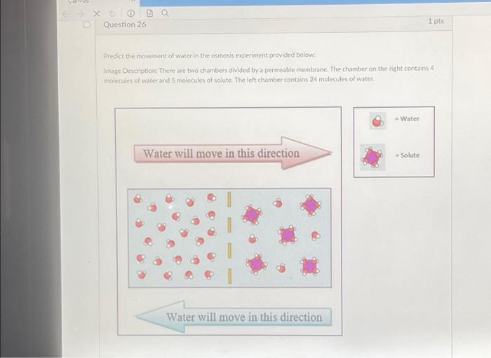 Solved Predict the movement of water in the osmosis | Chegg.com