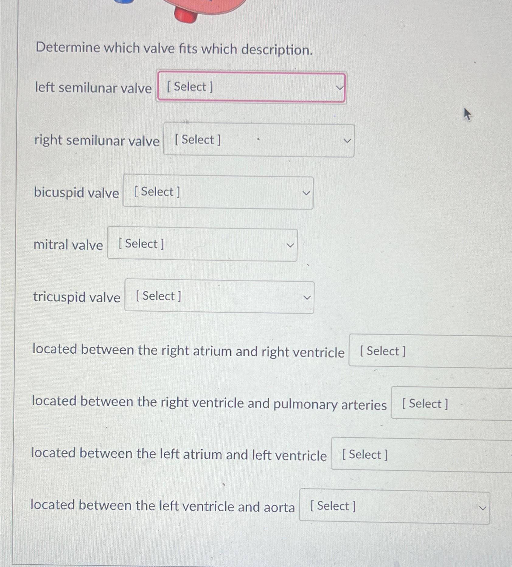 Solved Determine which valve fits which description.left | Chegg.com
