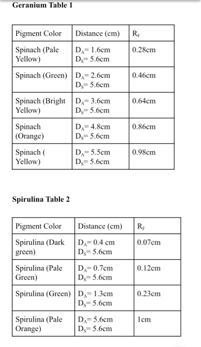Solved How many different pigments separate from the spinach | Chegg.com