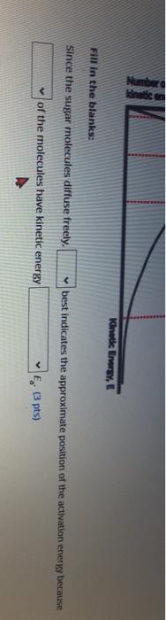 Solved A sugar molecule (Cat...) con diffuse freely in water | Chegg.com