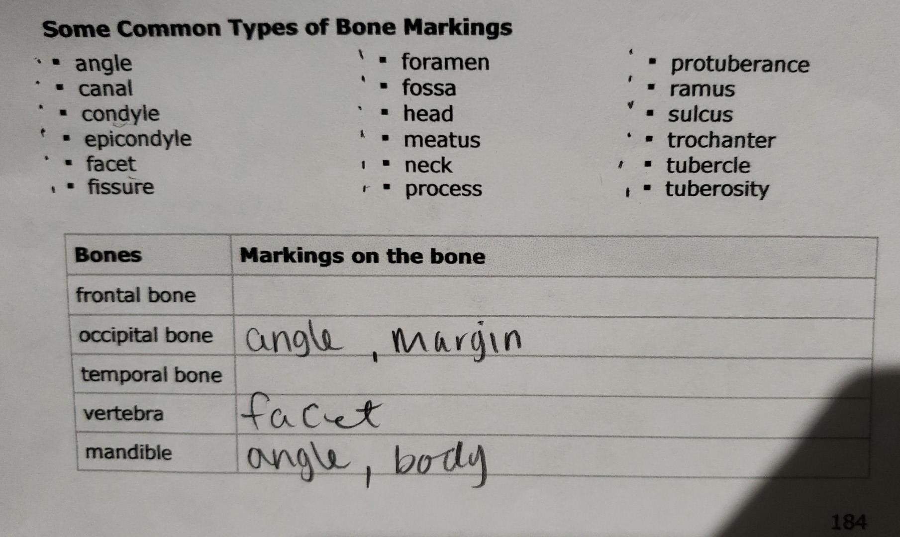 Solved Some Common Types of Bone Markings angle • foramen • | Chegg.com