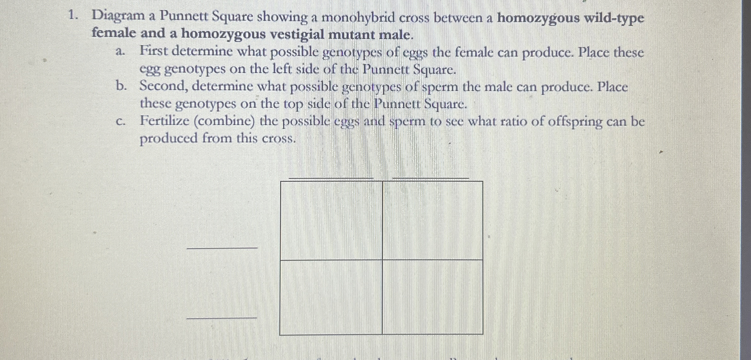 Solved Diagram a Punnett Square showing a monohybrid cross | Chegg.com