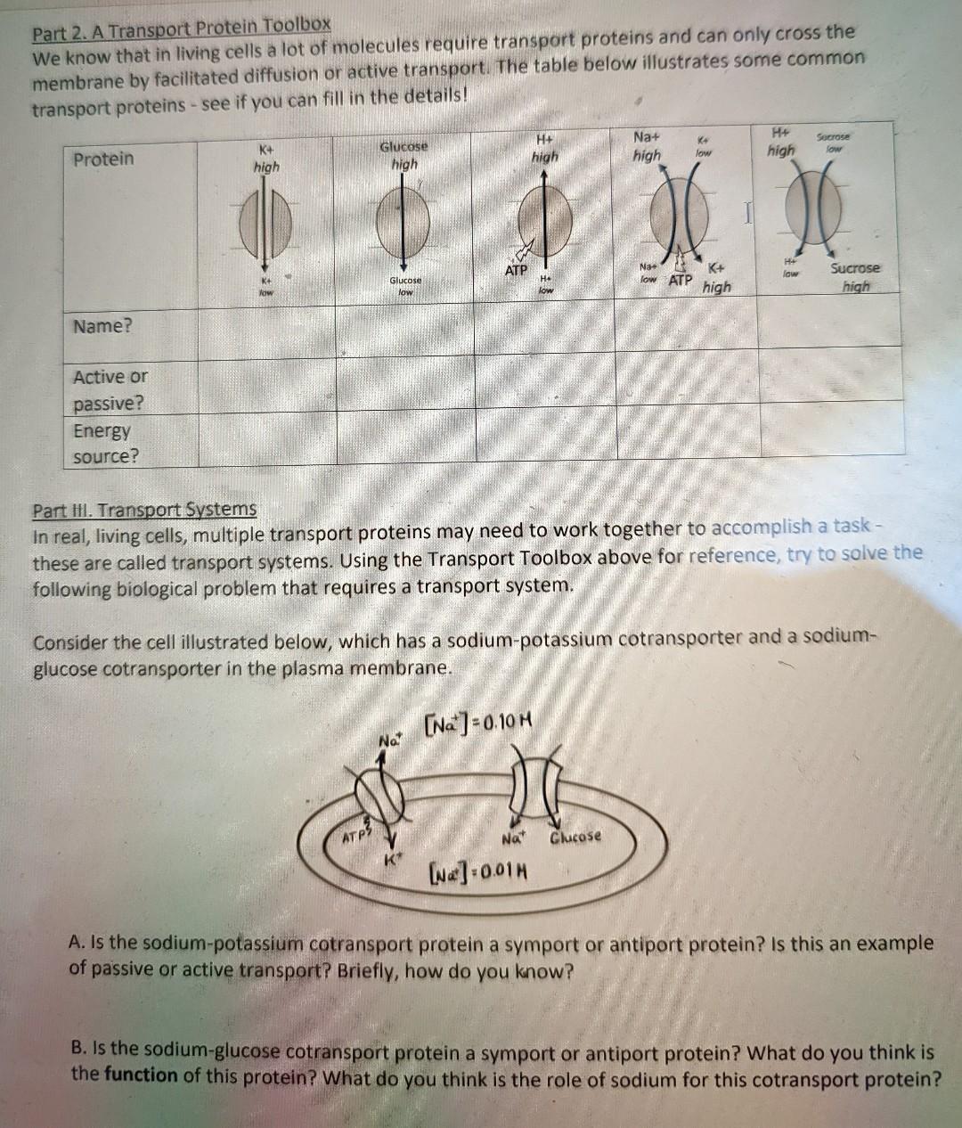Part 2. A Transport Protein Toolbox We know that in | Chegg.com