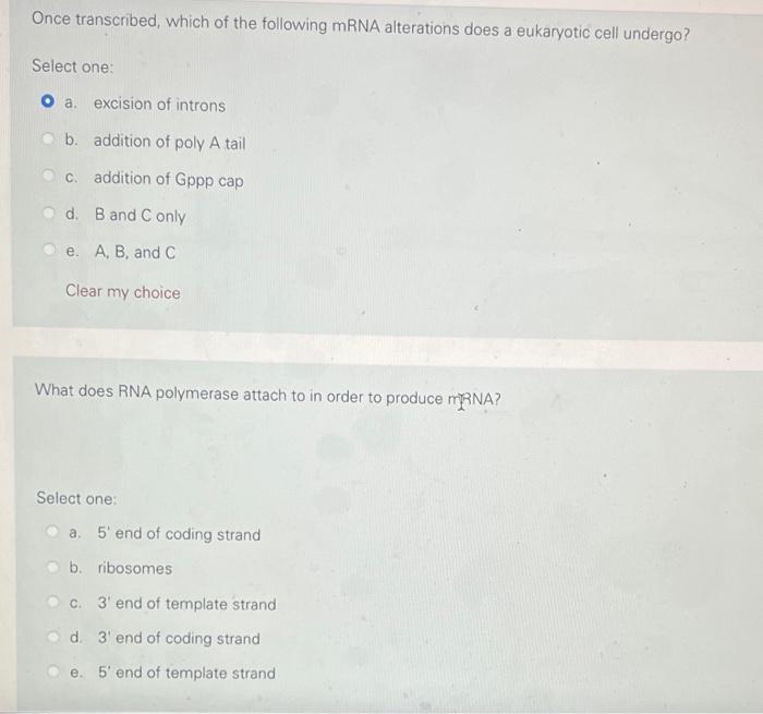Solved Once transcribed, which of the following mRNA | Chegg.com