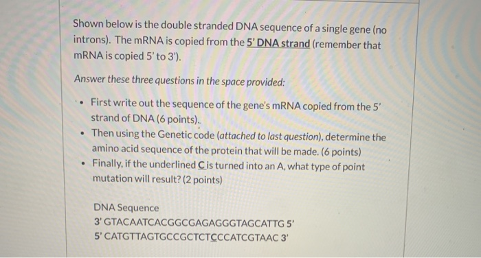 Solved Shown below is the double stranded DNA sequence of a | Chegg.com