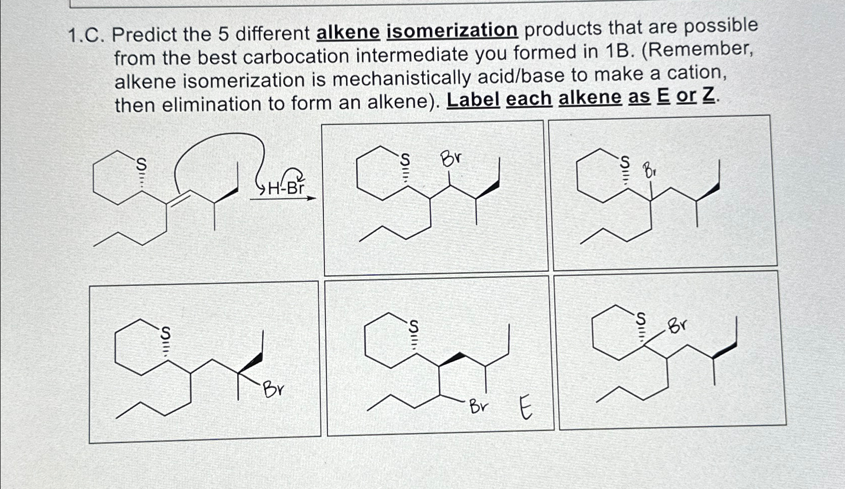 Solved 1.C. ﻿Predict the 5 ﻿different alkene isomerization | Chegg.com