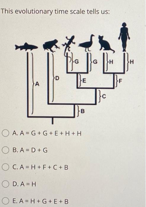 Solved This Evolutionary Time Scale Tells Us A Aggehh 8691