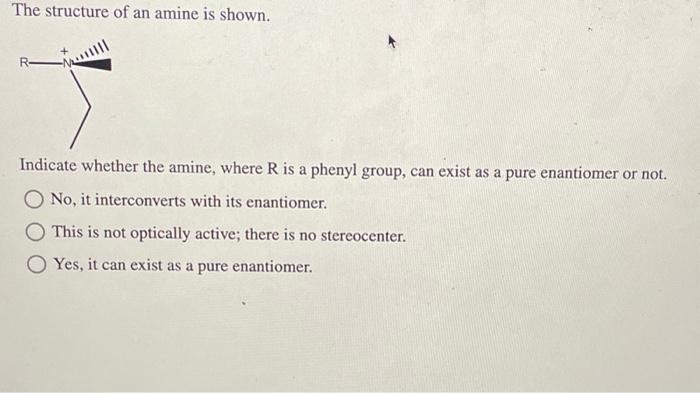 Solved The structure of an amine is shown. Indicate whether | Chegg.com