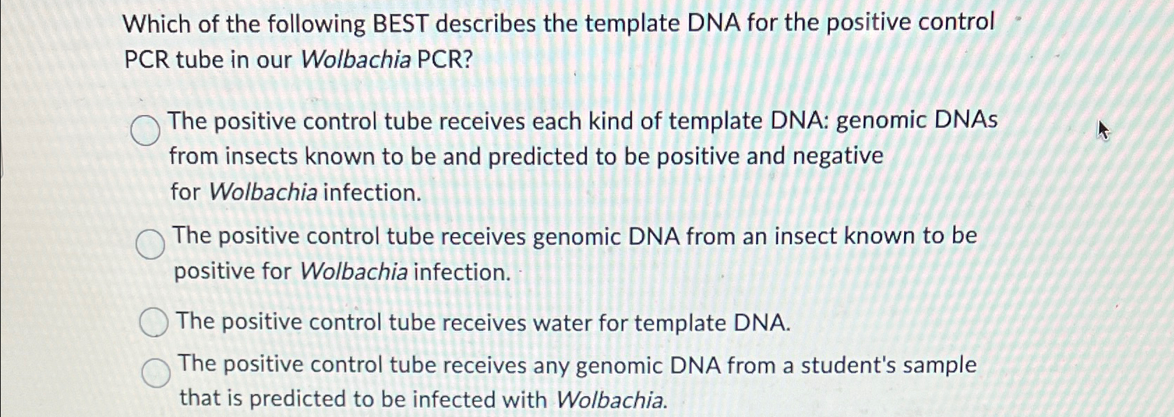 Solved Which of the following BEST describes the template | Chegg.com