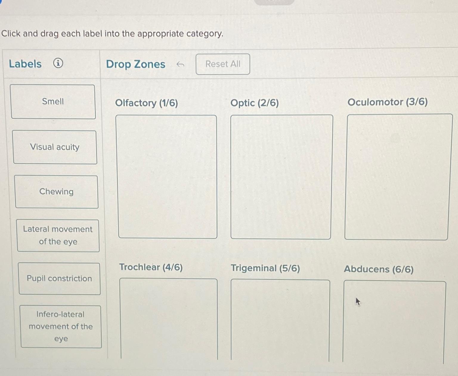 Solved Click and drag each label into the appropriate | Chegg.com
