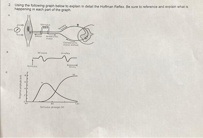 Solved 2. Using the following graph below to explain in | Chegg.com