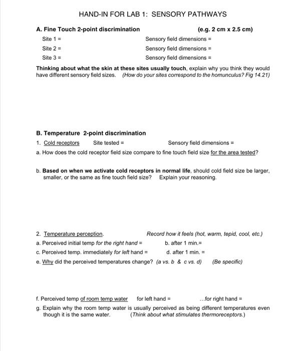 Solved HAND-IN FOR LAB 1: SENSORY PATHWAYS A. Fine Touch | Chegg.com