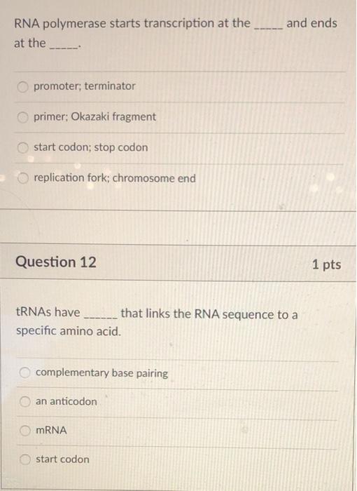 Solved How will the sequence of a transcribed RNA molecule | Chegg.com