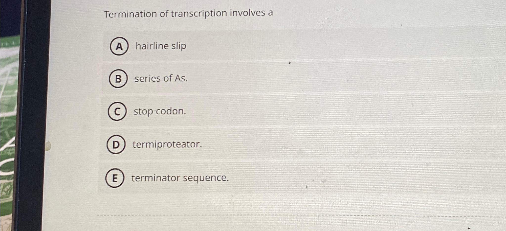 Solved Termination of transcription involves ahairline | Chegg.com