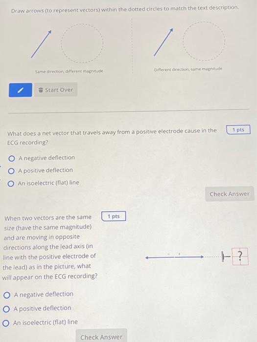 Solved Draw arrows (to represent vectors) within the dotted | Chegg.com