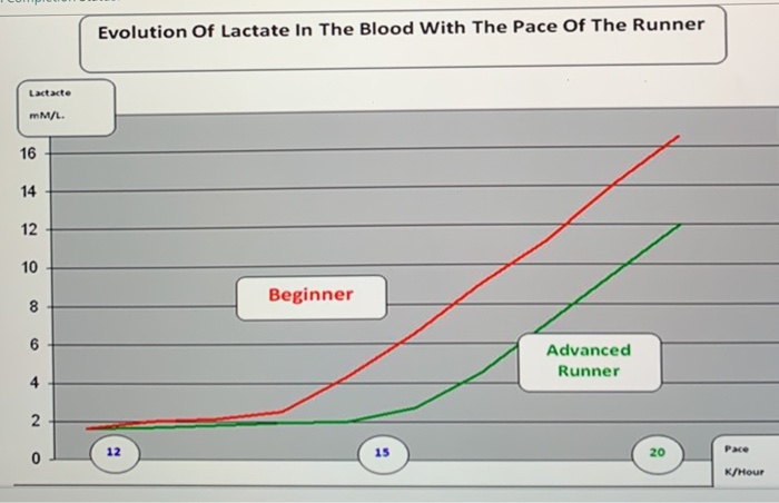 Solved how much lactic acid is produced in the beginner | Chegg.com