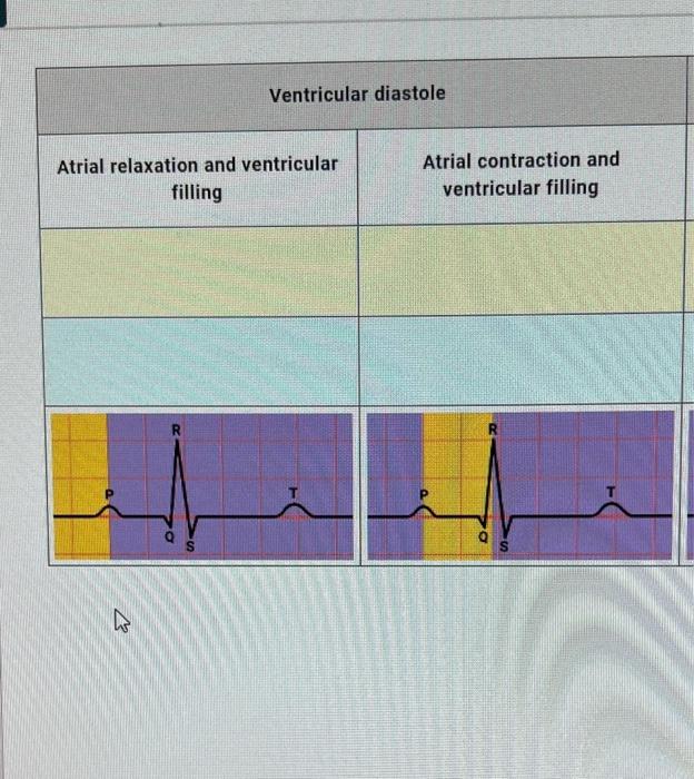 Blood flow labels Valve state labels All valves | Chegg.com