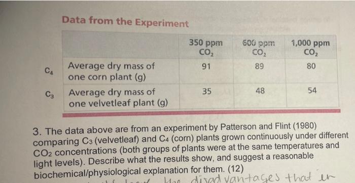 Solved 600 ppm Data from the Experiment 350 ppm CO2 Average | Chegg.com