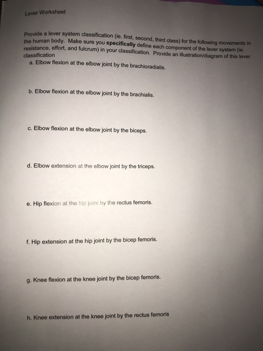 Solved Lever Worksheet Davide a lever system classification | Chegg.com