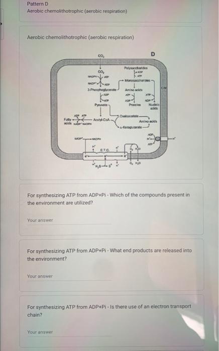 Solved Pattern D Aerobic chemolithotrophic (aerobic | Chegg.com
