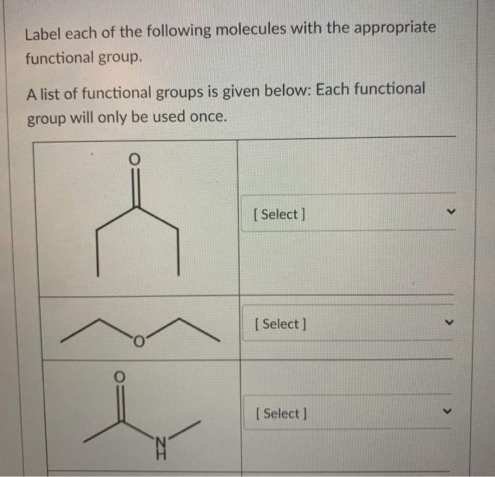 Solved label each of the following molecules with the | Chegg.com