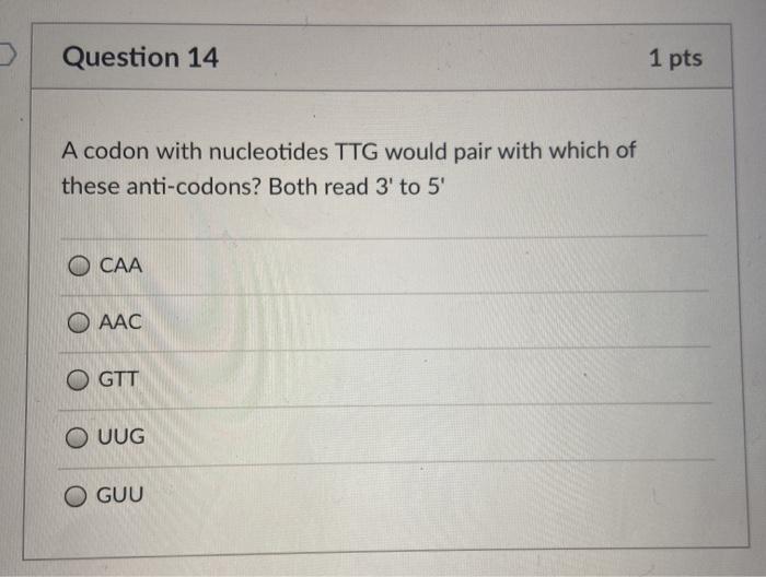 Solved Question 14 1 pts A codon with nucleotides TTG would | Chegg.com