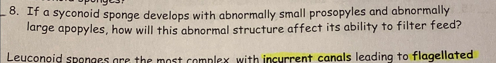 Solved If a syconoid sponge develops with abnormally small | Chegg.com