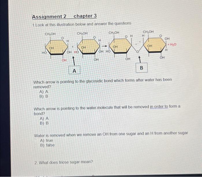 Assignment 2 chapter 3 1.Look at this illustration | Chegg.com