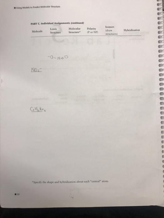 Solved Using Models to Predict Molecular Structure Lab | Chegg.com