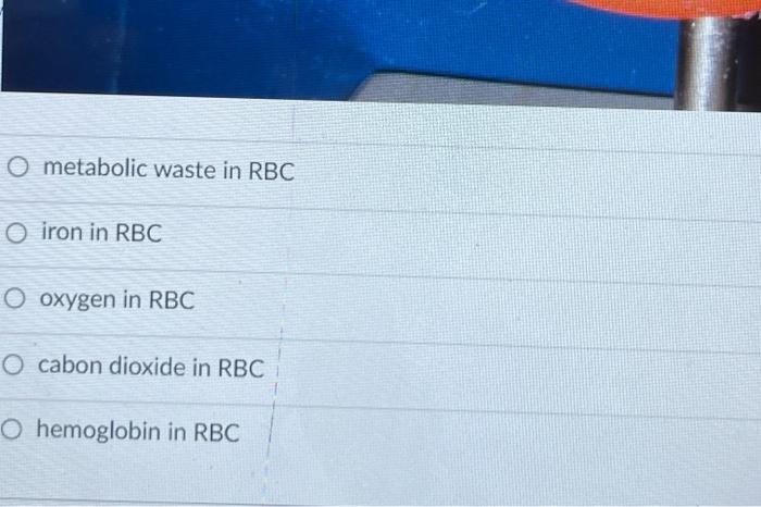 Solved Identify e in RBC O metabolic waste in RBC O iron | Chegg.com