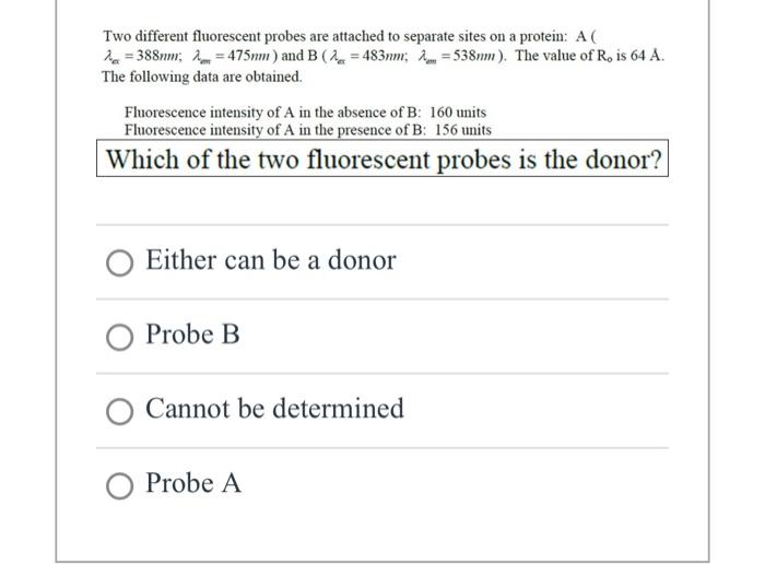 Solved Two different fluorescent probes are attached to | Chegg.com
