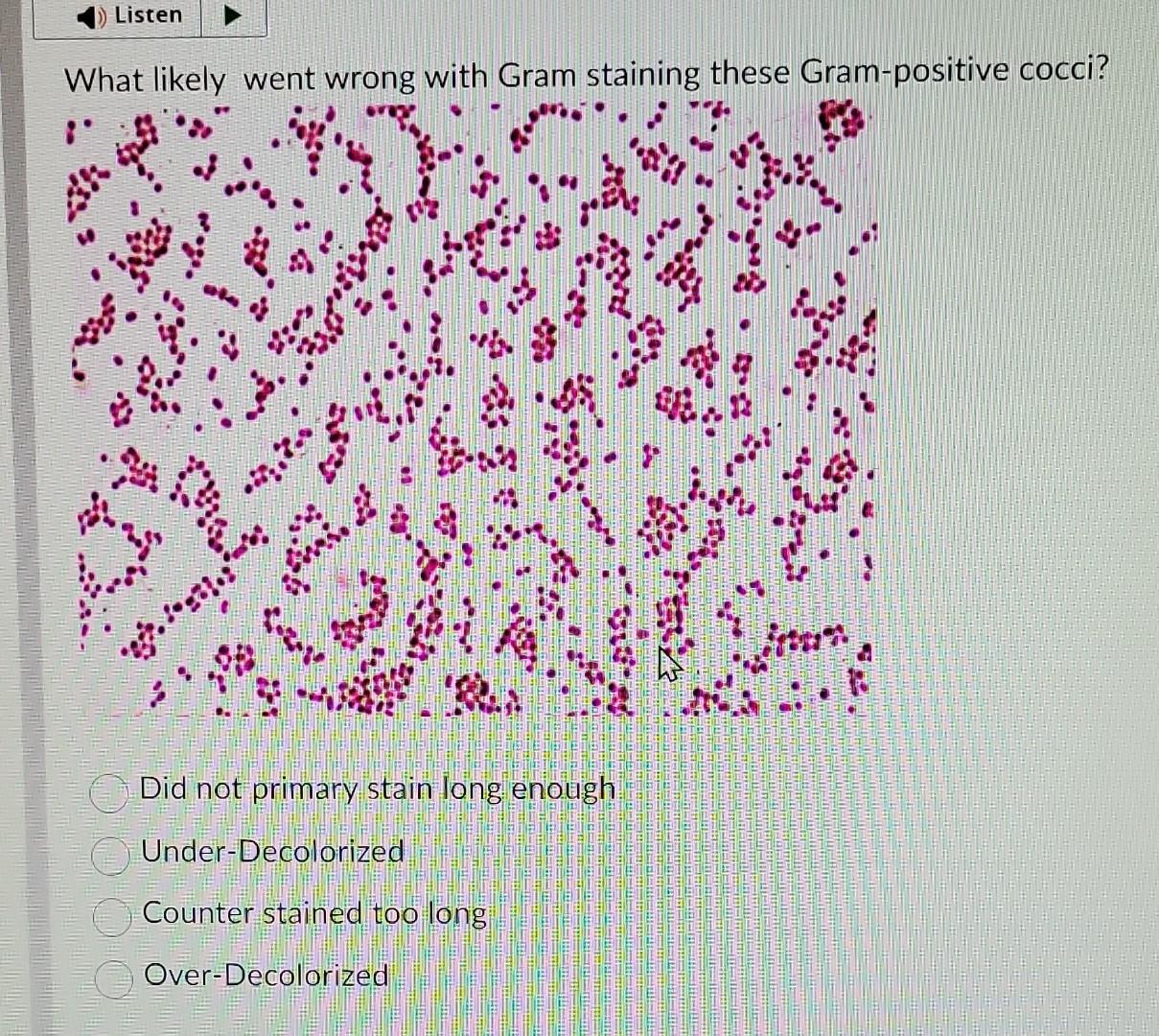 Solved Did not primary stain long enough Under-Decolorized | Chegg.com