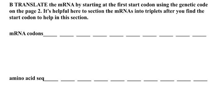 Solved A- TRANSCRIBE the DNA into mRNA by using the bottom | Chegg.com