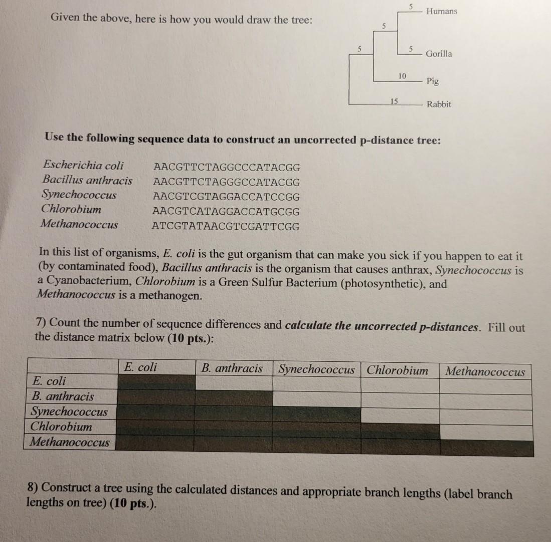 B) Sequence Based Trees We can build our trees with | Chegg.com