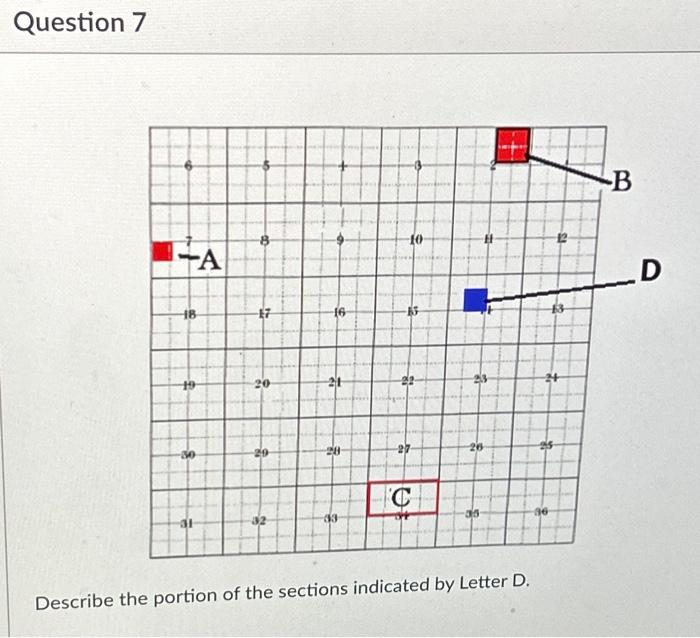 Describe the portion of the sections indicated by | Chegg.com