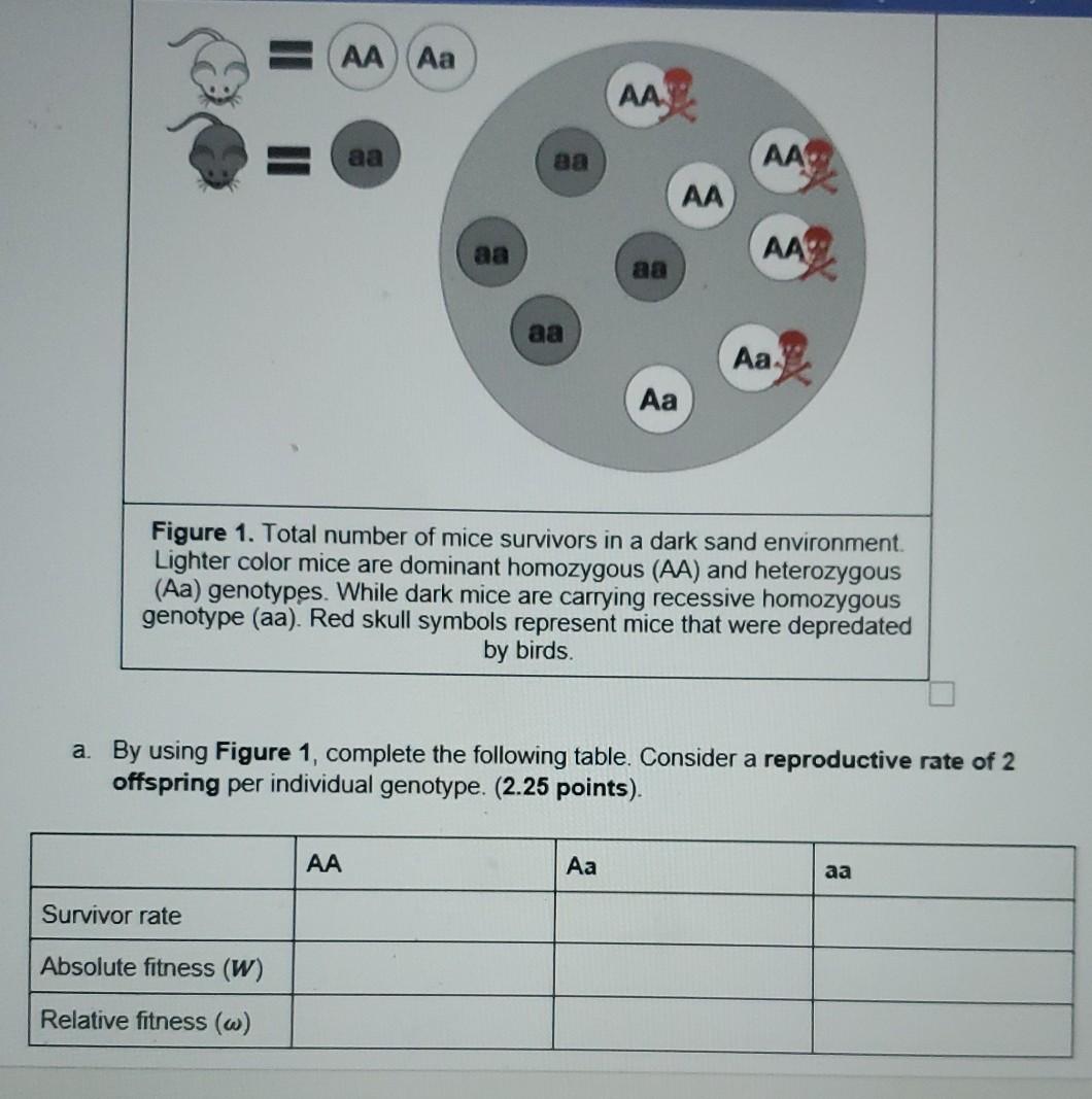 Solved AA Aa AAS aa Ba АА. АА aa ААС aa aa Aa Аа Figure 1. | Chegg.com Solved AA Aa AAS aa Ba АА. АА aa ААС aa aa Aa Аа Figure 1. | Chegg.com